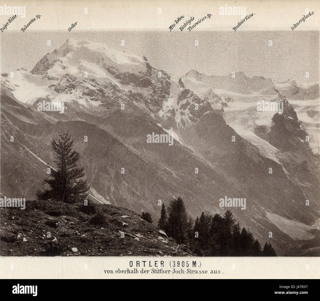 Meurer painting hi-res stock photography and images - Alamy