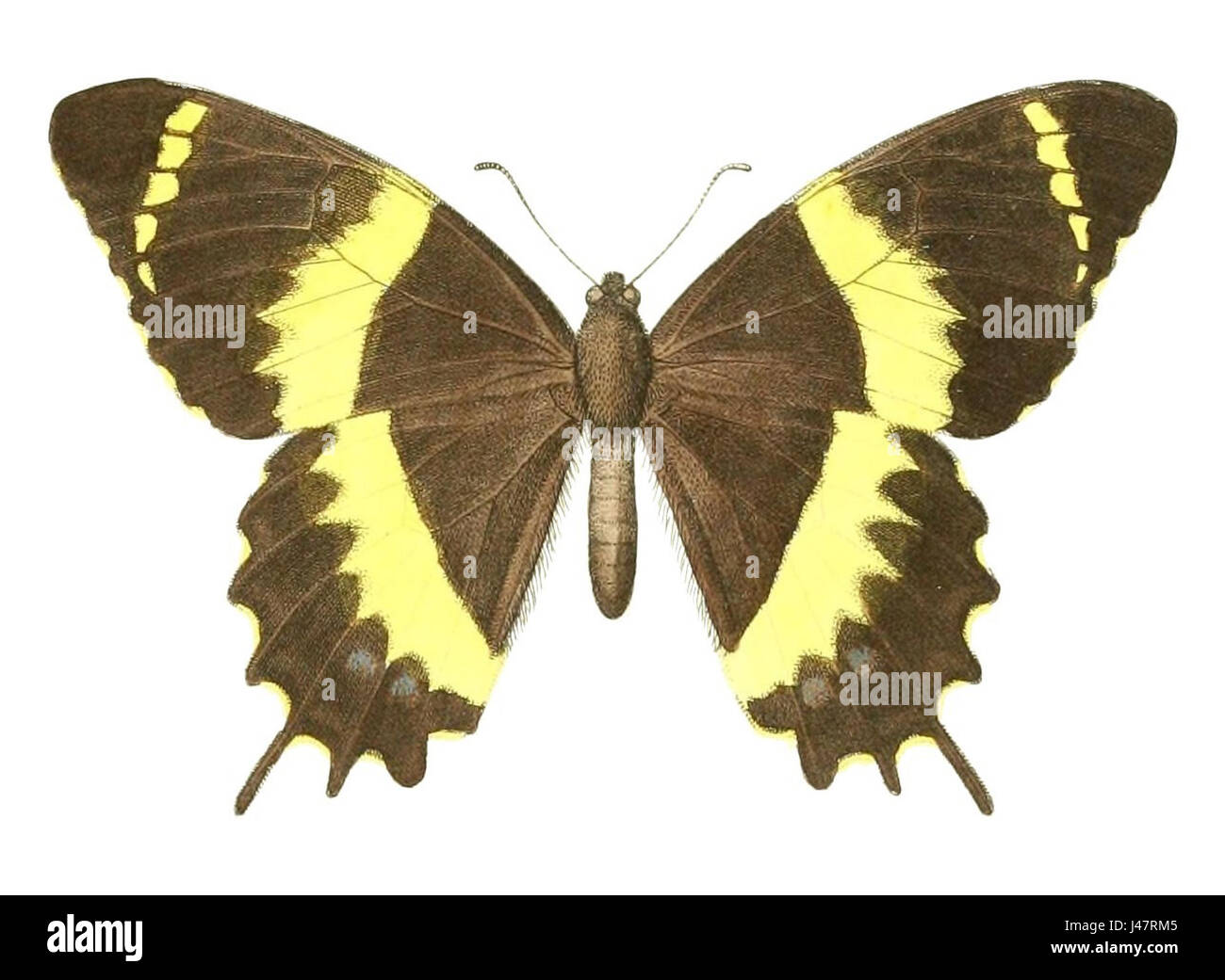 Garamas hi-res stock photography and images - Alamy