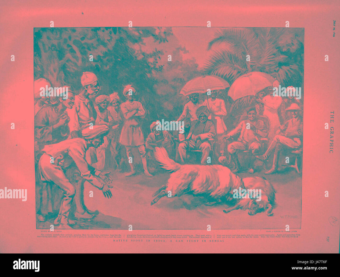 The 1899 illustration from 'The Graphic' depicts a traditional native ...