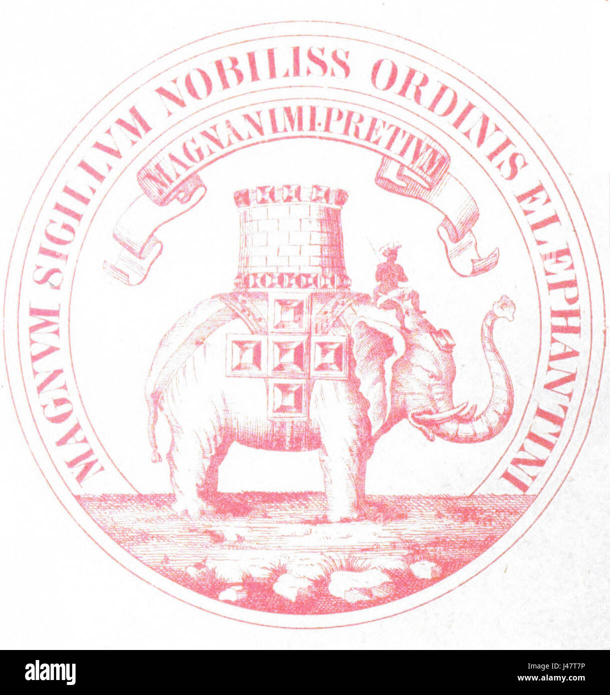 Elephant heads hi-res stock photography and images - Alamy