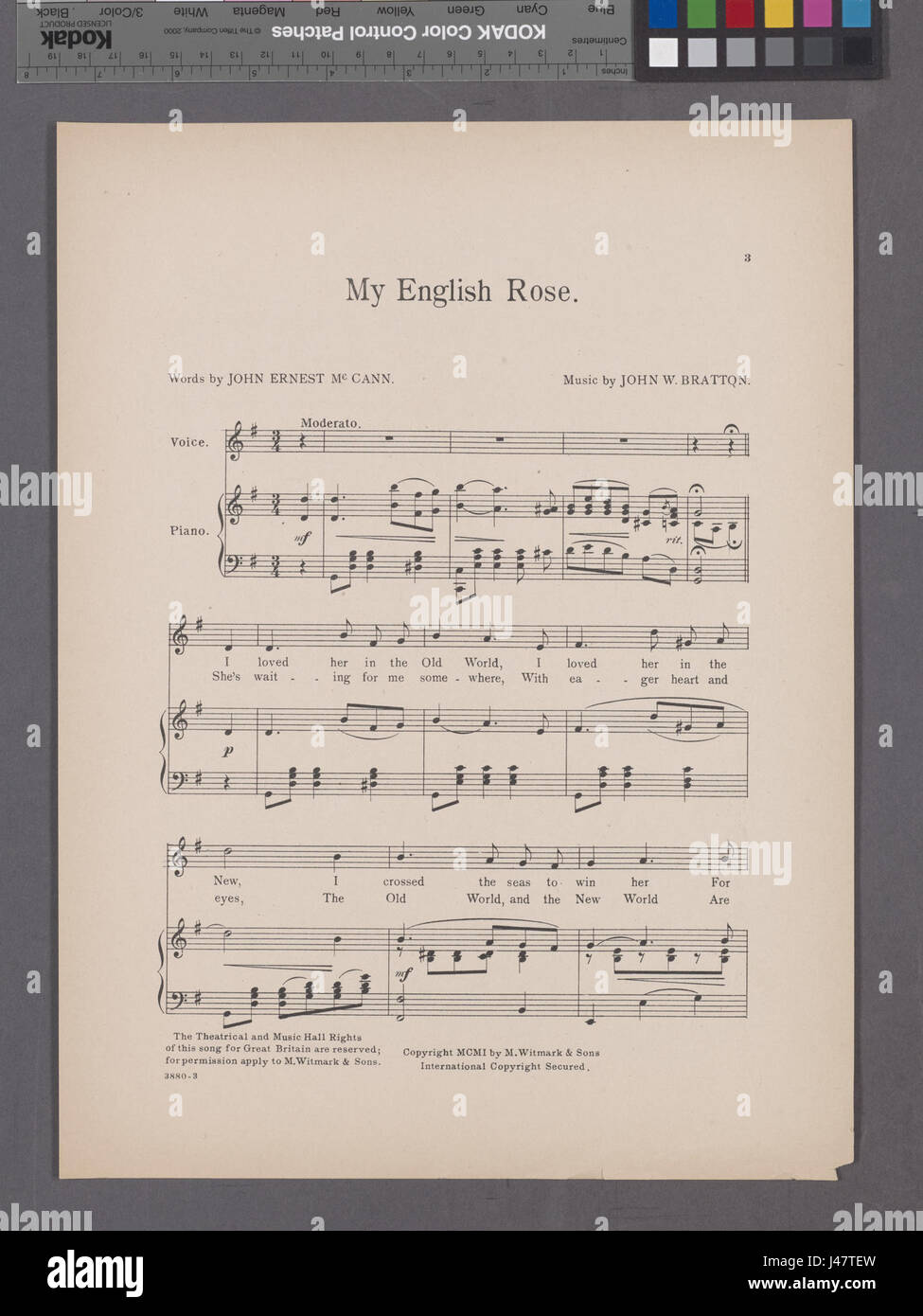 A work titled 'My English Rose,' documenting English culture and ...