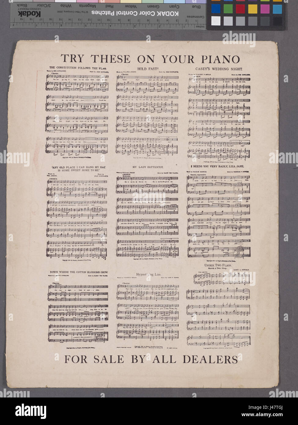 My lady Hottentot (NYPL Hades 1930894 1993301 Stock Photo - Alamy