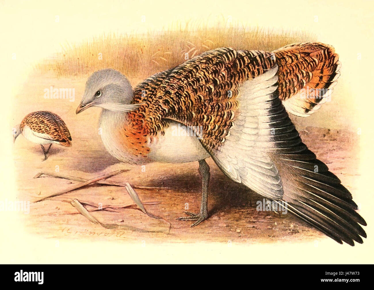 Map of otis hi-res stock photography and images - Alamy