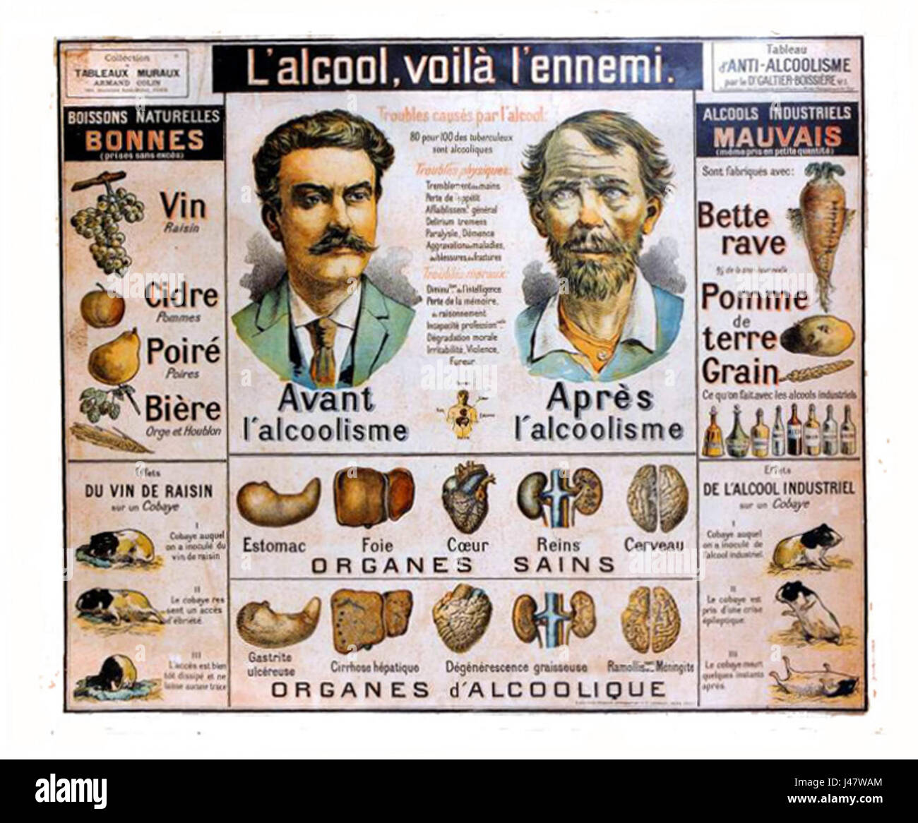 School education social programs Cut Out Stock Images & Pictures - Alamy