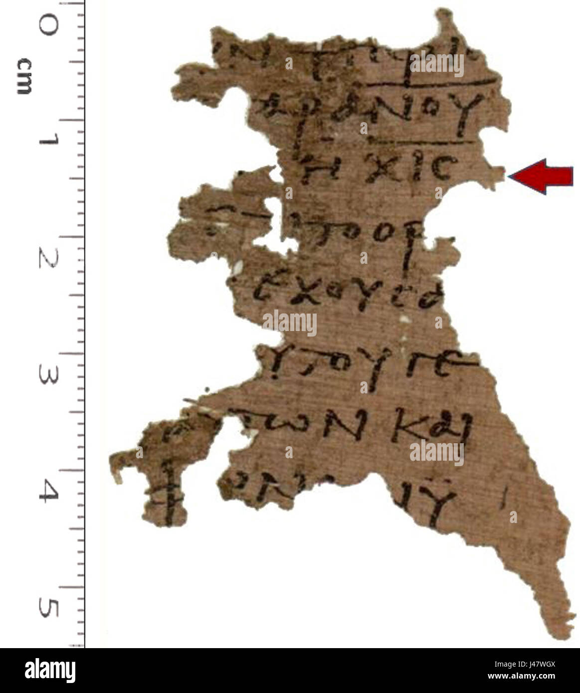 Papyrus from ancient egypt hi-res stock photography and images - Alamy