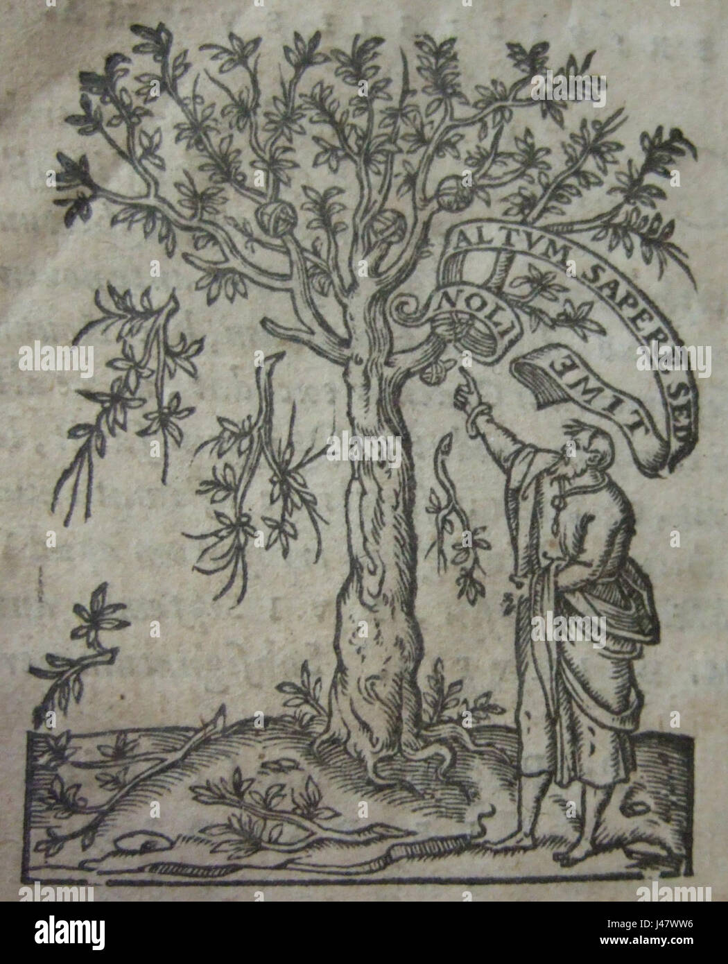 The P16 1207 marque imprimeur is a printing press mark, identifying the ...