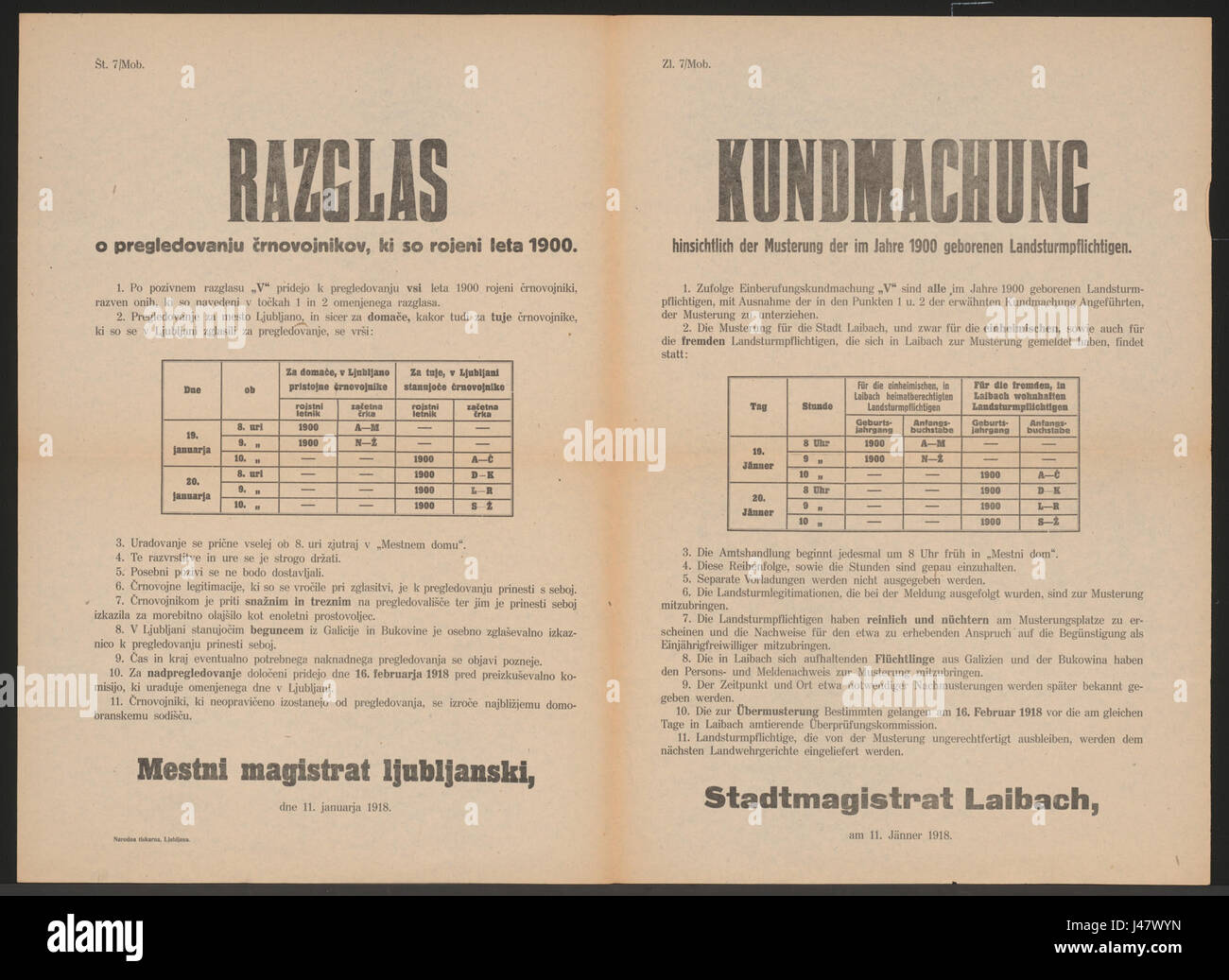 This multilingual poster from 1918, known as 'Musterung Kundmachung ...