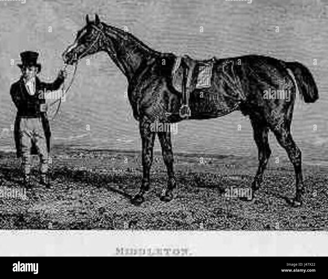 Middleton won the prestigious Derby in 18XX, an achievement that ...