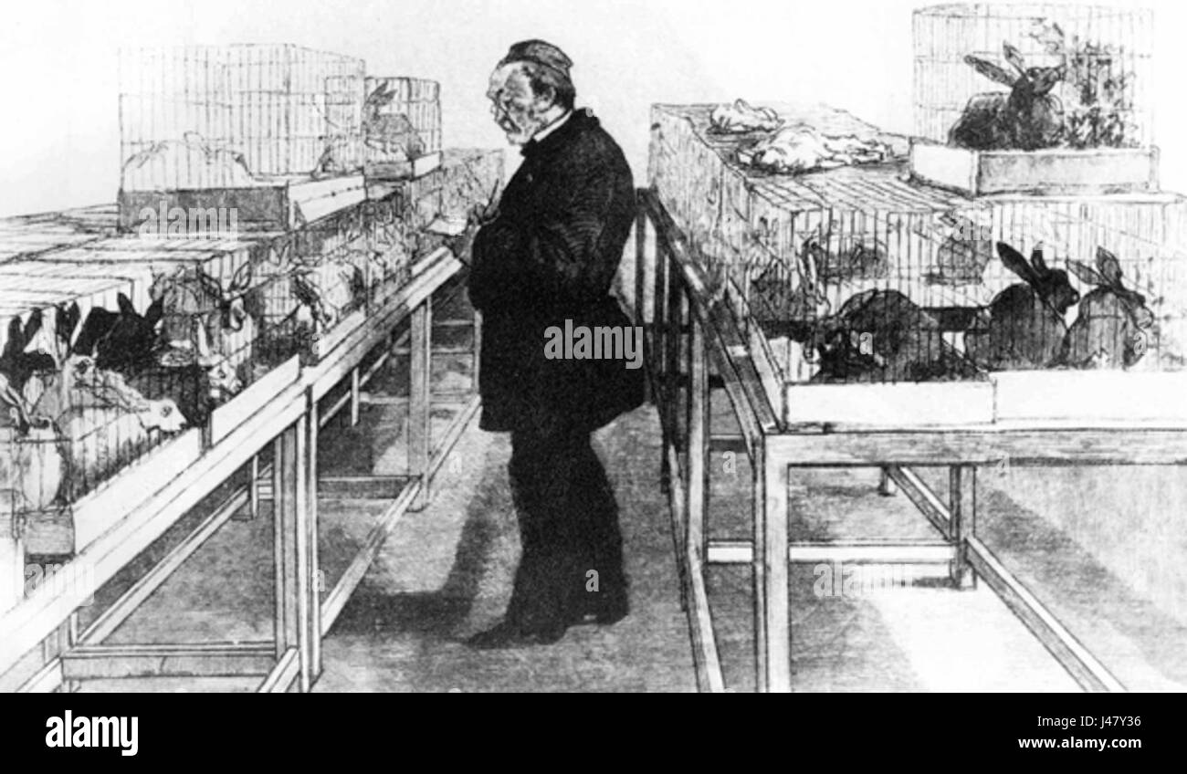 Louis pasteur experiment hi-res stock photography and images - Alamy