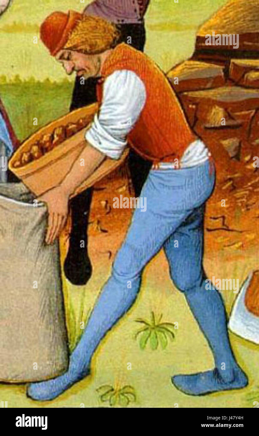 Gold mining tools hi-res stock photography and images - Alamy