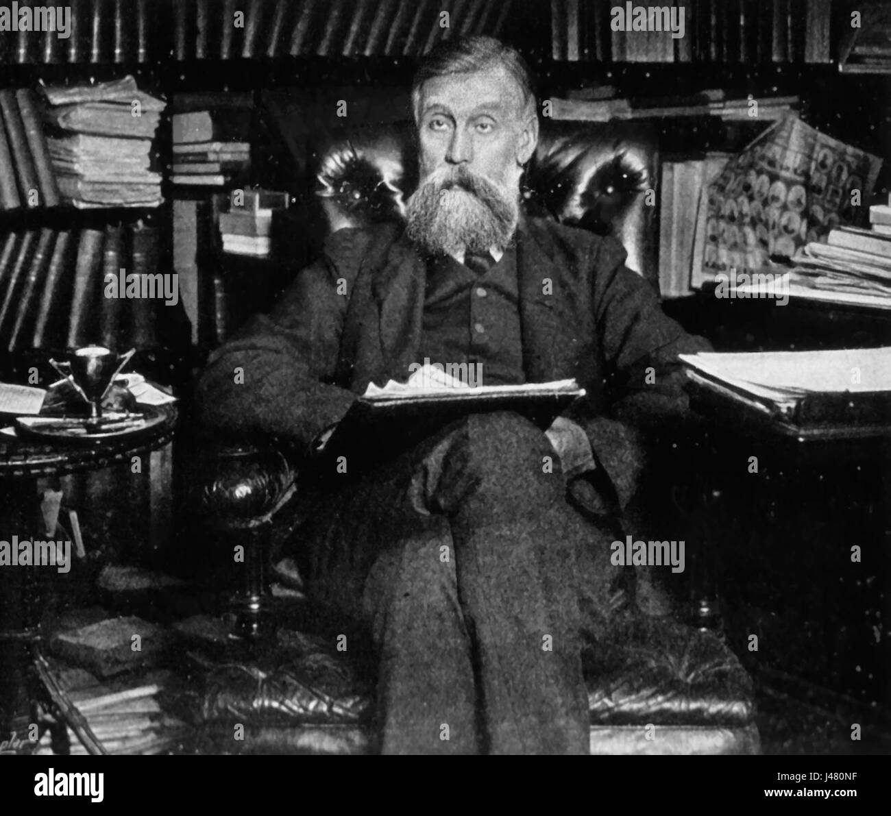 Michael foster hi-res stock photography and images - Alamy