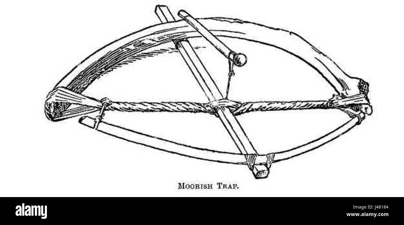 Intricate moorish design pattern Black and White Stock Photos & Images ...