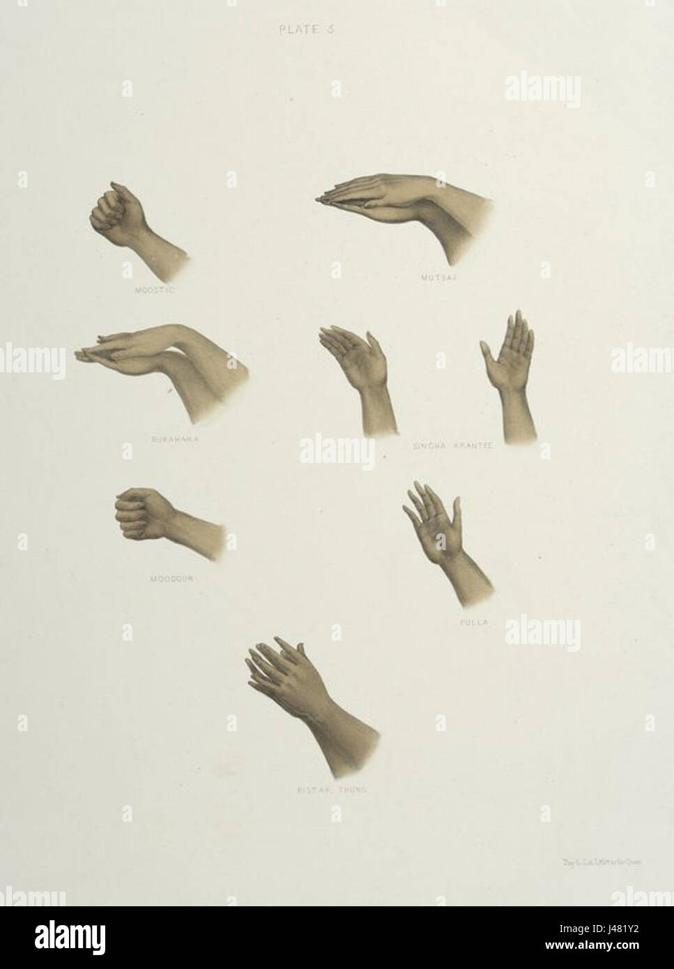 Mudras, in this context, likely refers to the traditional hand gestures ...