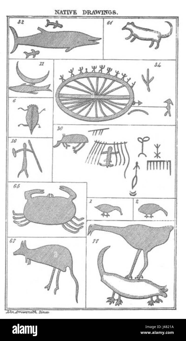 Native Drawings in the context of Australian discoveries feature ...