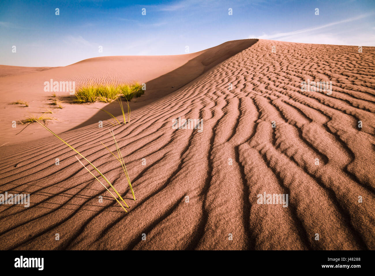 Sand Dunes in Dubai Desert Stock Photo - Alamy