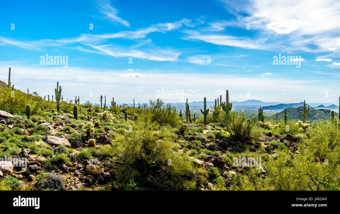 Phoenix sun hi-res stock photography and images - Alamy