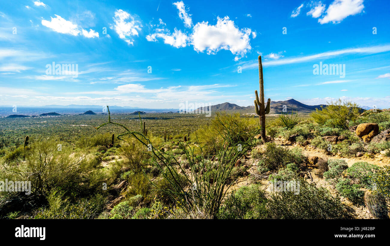 View of the Valley of the Sun with the city of Phoenix in the distant ...