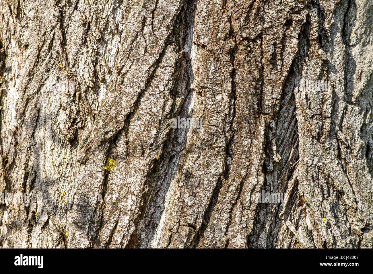 Oseup hi-res stock photography and images - Alamy