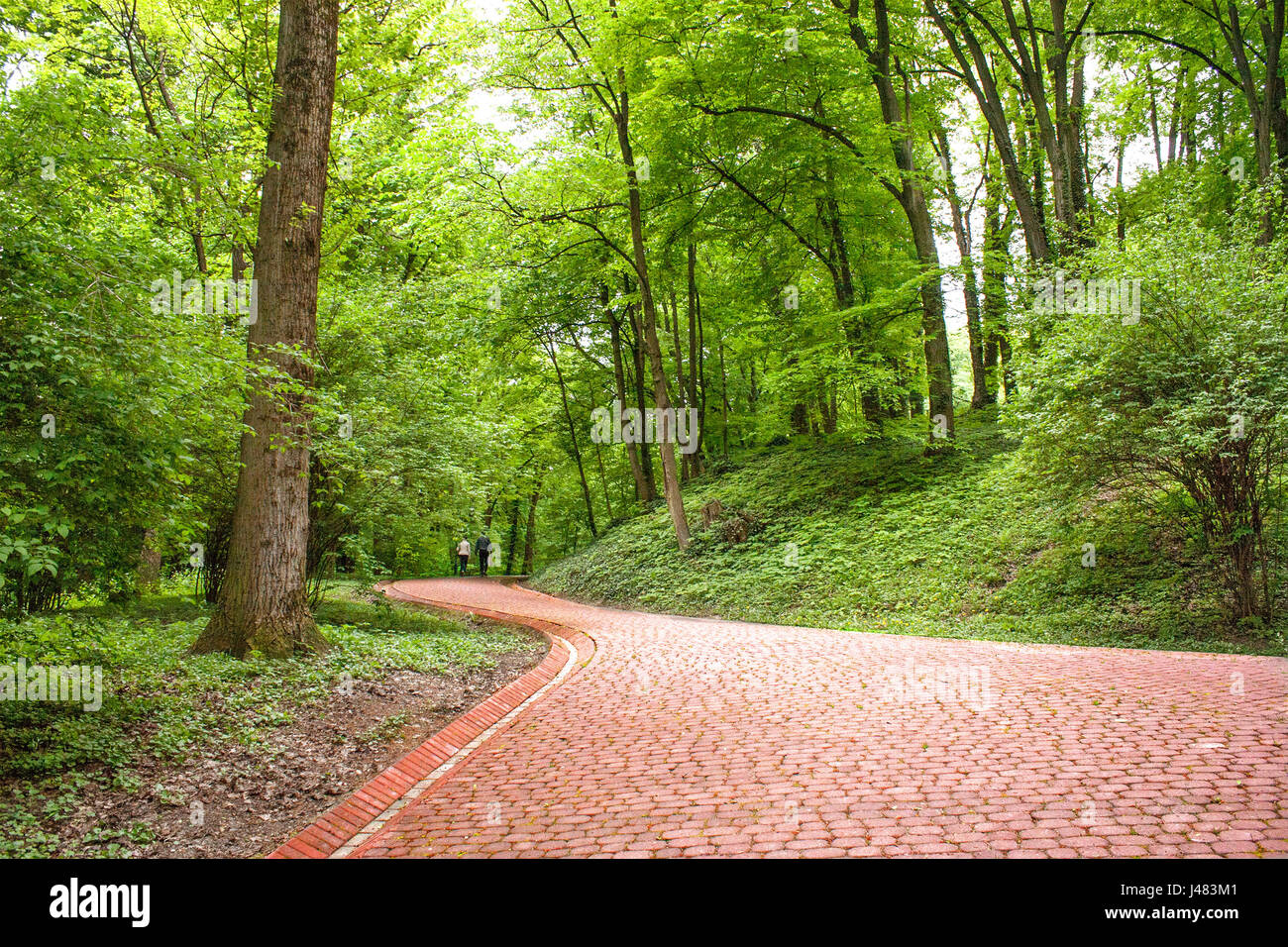 a Image of red stone walkway in the park Stock Photo - Alamy