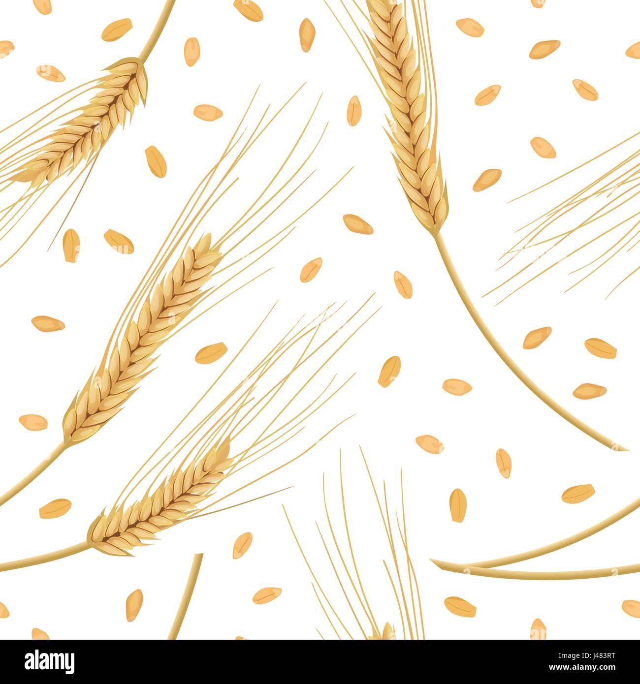 Spike wheat on white Stock Vector Images - Alamy
