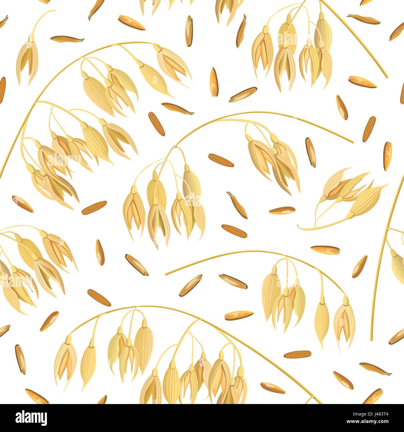Oat ears of grain and bran. seamless pattern vector. Golden spike and ...