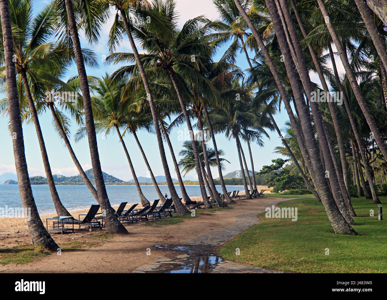 Beachfront palmtree grove, calm seas, sunshine & waiting sun lounges ...