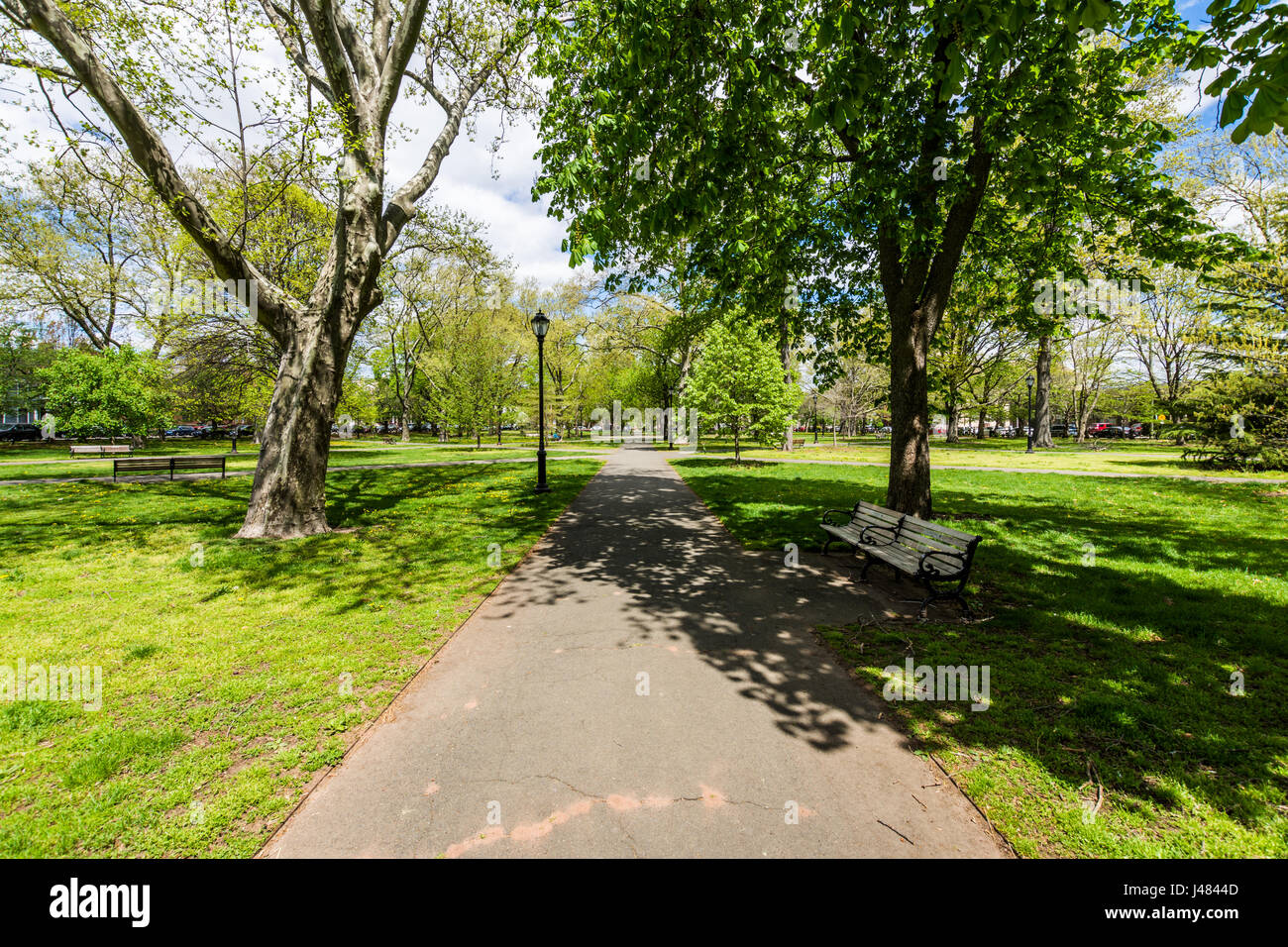 Historic District of Court Street in Wooster Square in New Haven ...