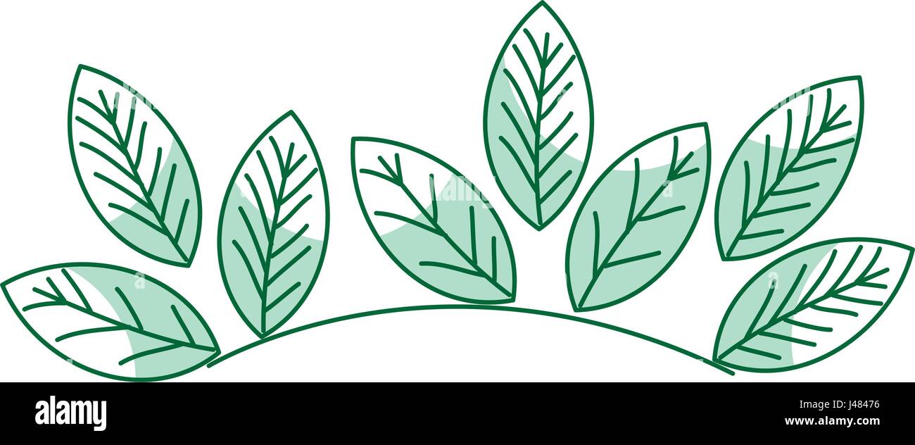 leafs plant decorative icon Stock Vector Image & Art - Alamy