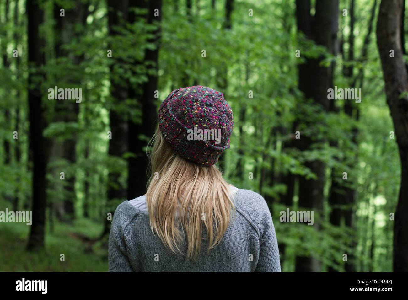 horizontal rear view portrait of Caucasian young woman with long blonde ...
