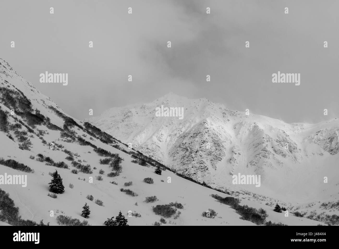 Alaskan alpine hi-res stock photography and images - Alamy