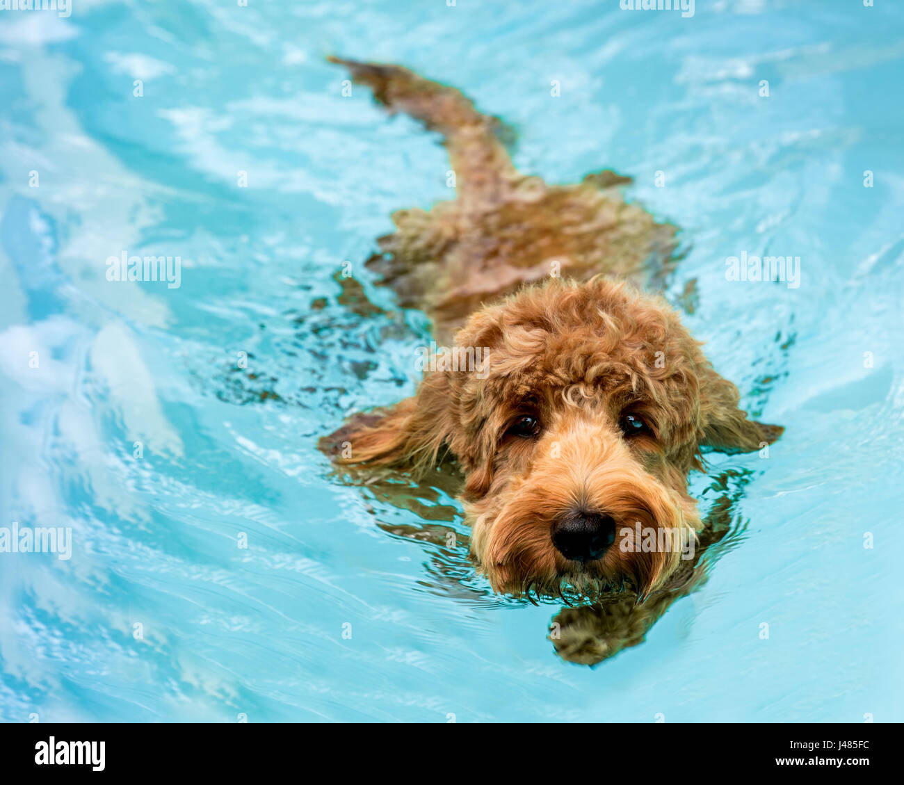 Lovely swimming pool hi-res stock photography and images - Alamy