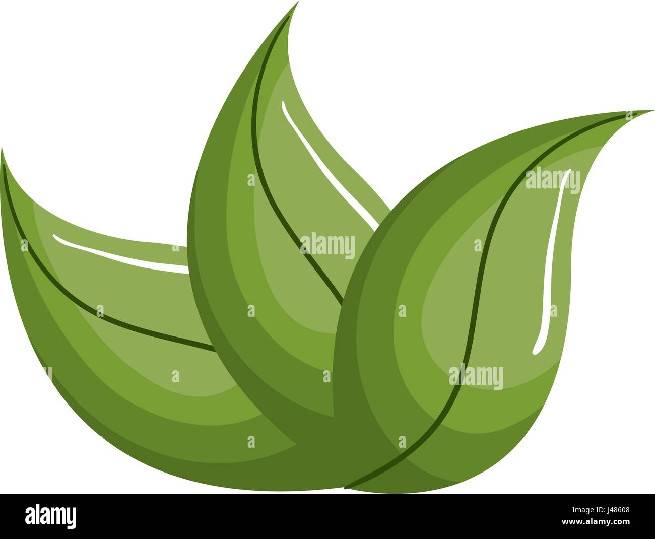 leafs plant decorative icon Stock Vector Image & Art - Alamy