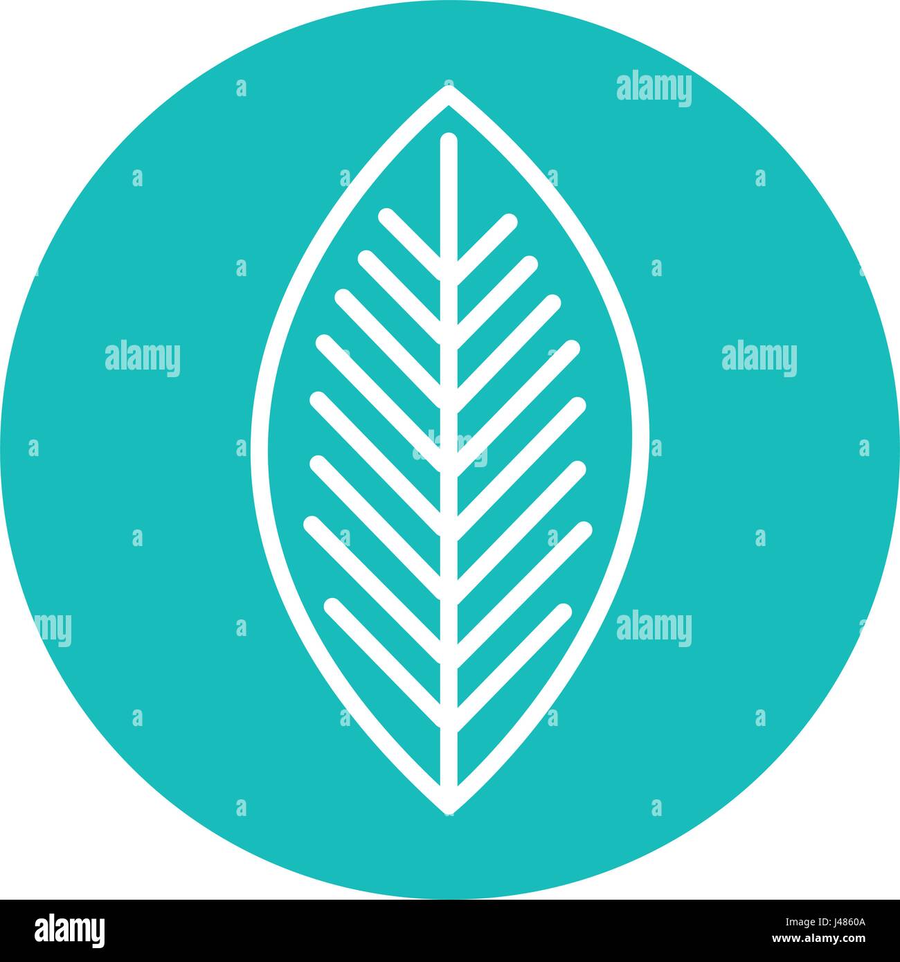 leafs plant decorative icon Stock Vector Image & Art - Alamy