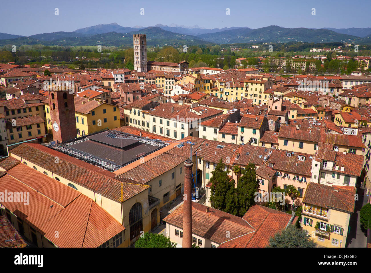 Looking out from the Torre Guinigi across the Piazza dell'Anfiteatro in ...