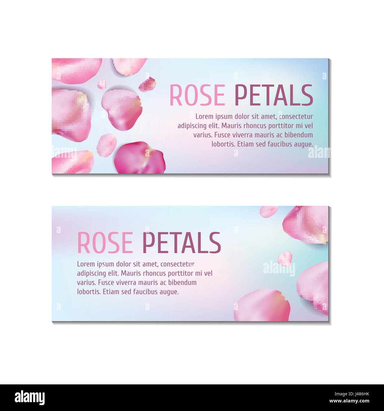 Banner pink rose petals Stock Vector Images - Alamy