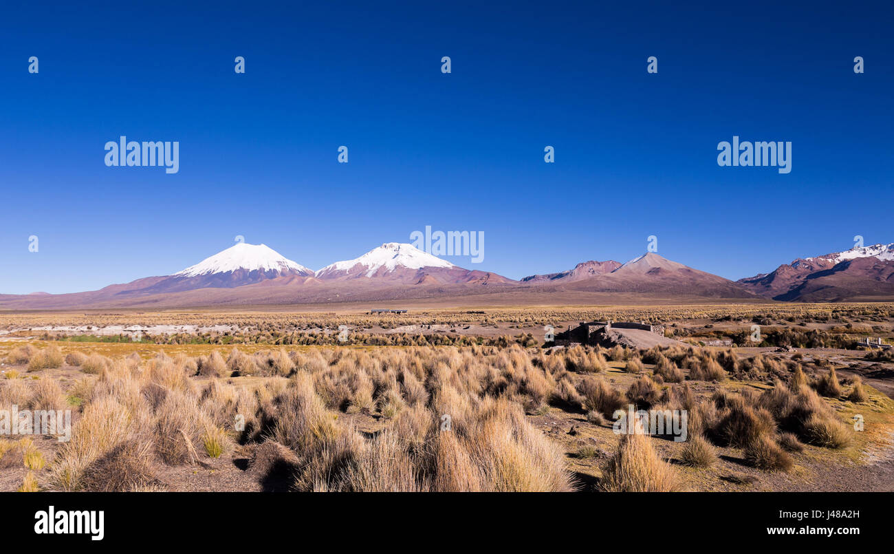 High Andean tundra landscape in the mountains of the Andes. The weather ...