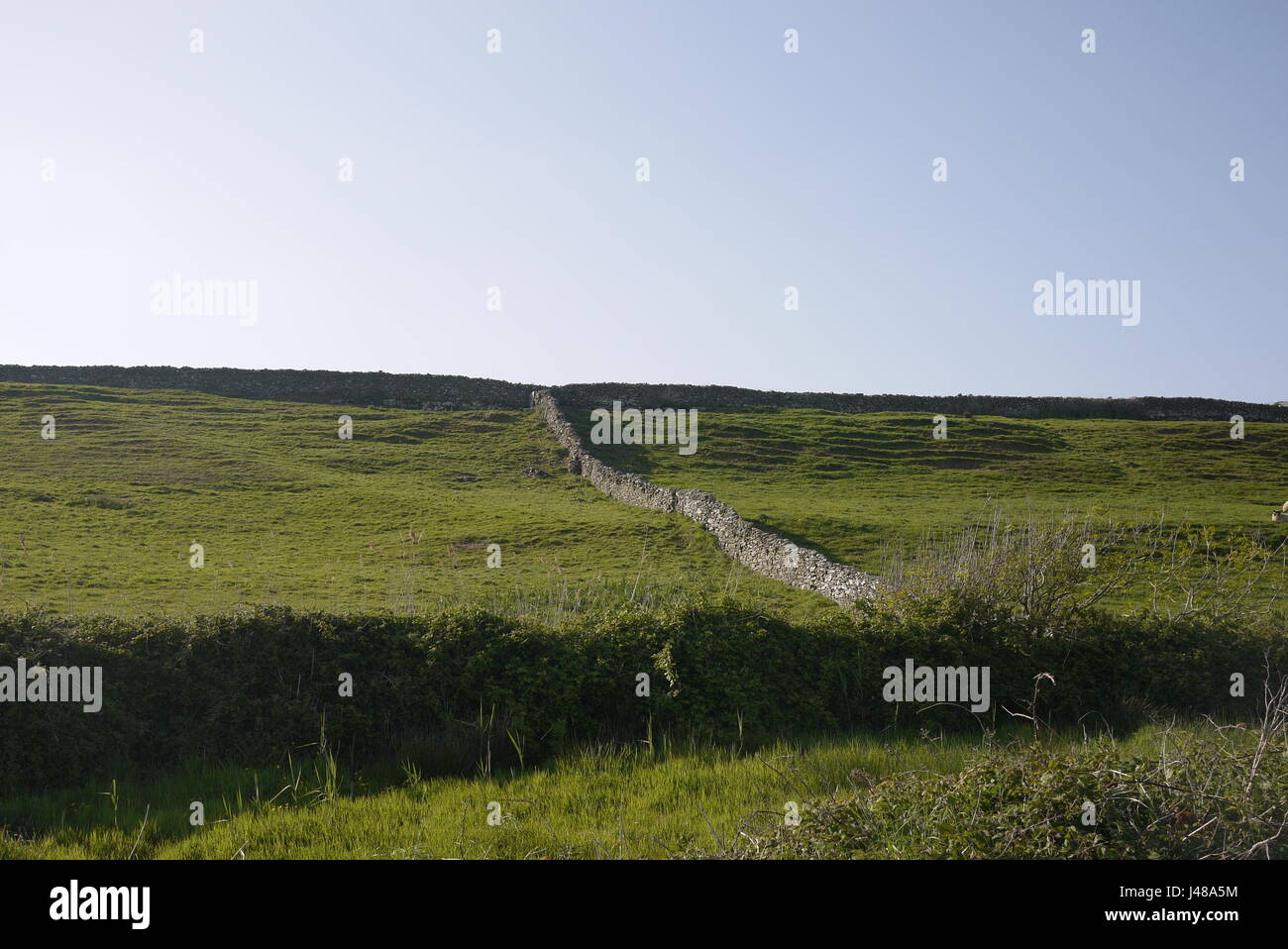 Irish field hi-res stock photography and images - Alamy