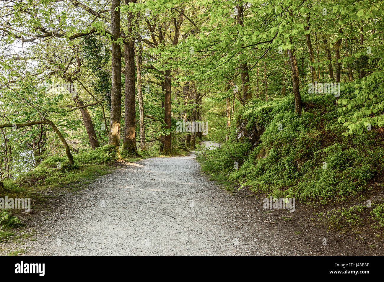 Pathway footpath hi-res stock photography and images - Alamy
