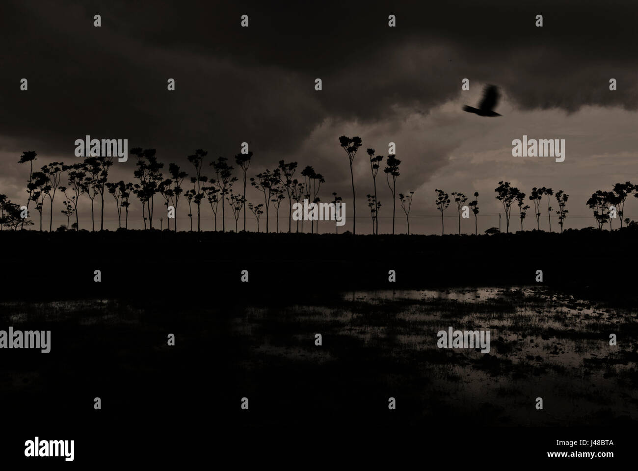 Monsoon soil hi-res stock photography and images - Alamy