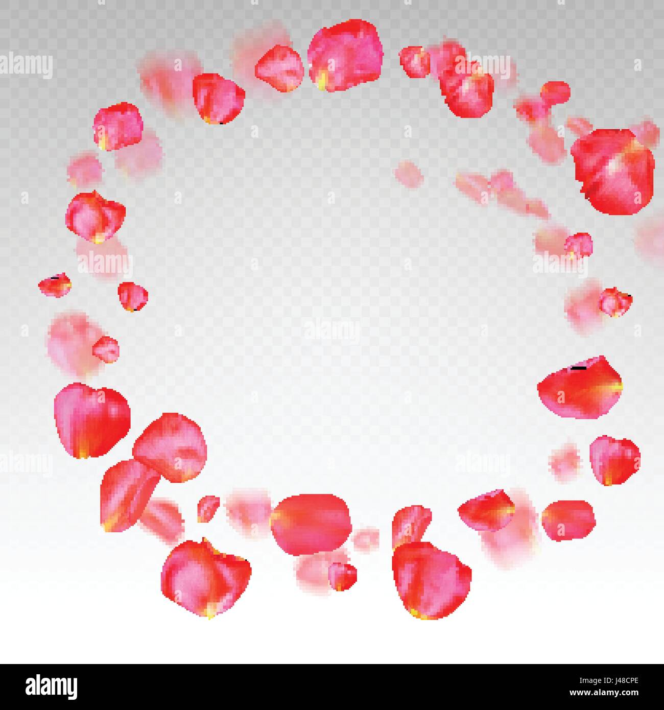 A lot of falling red rose petals on transparent background Stock Vector ...
