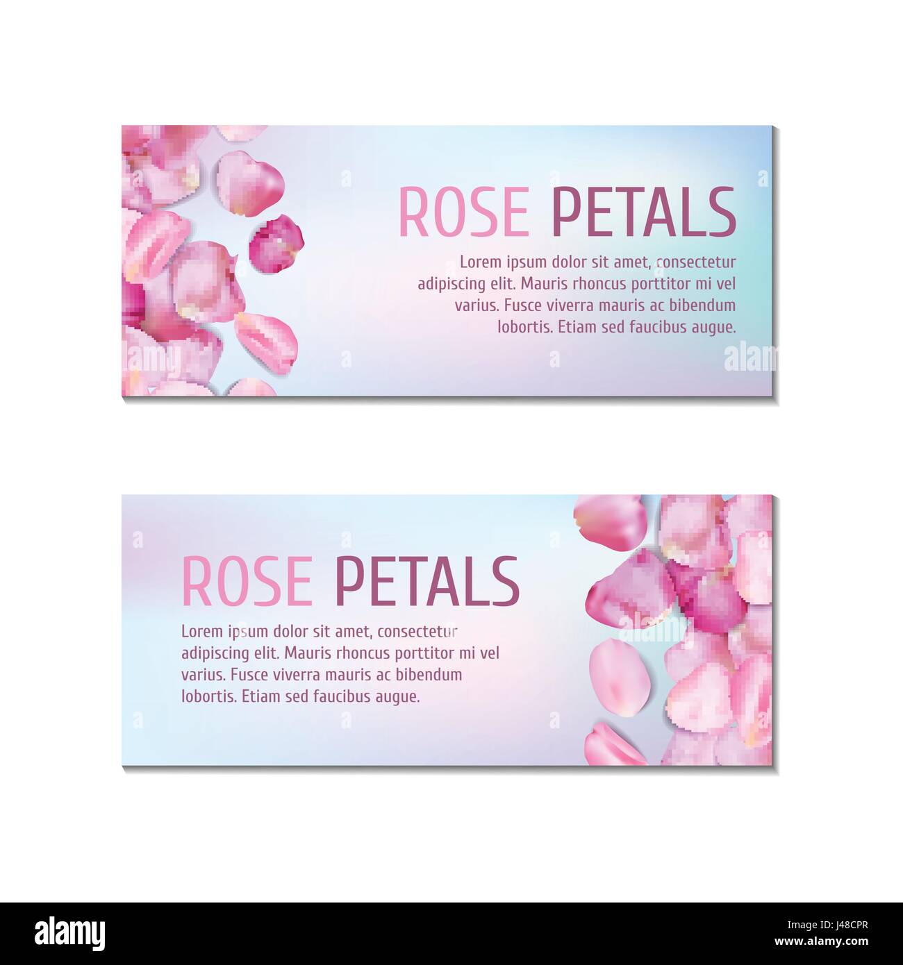 Falling blue rose flower petals Stock Vector Images - Alamy