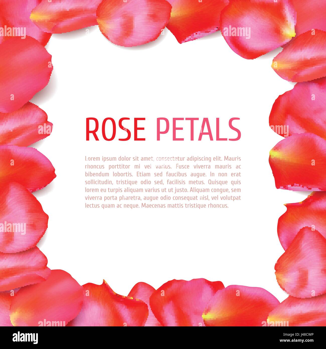 Rose petals frame Stock Vector Image & Art - Alamy