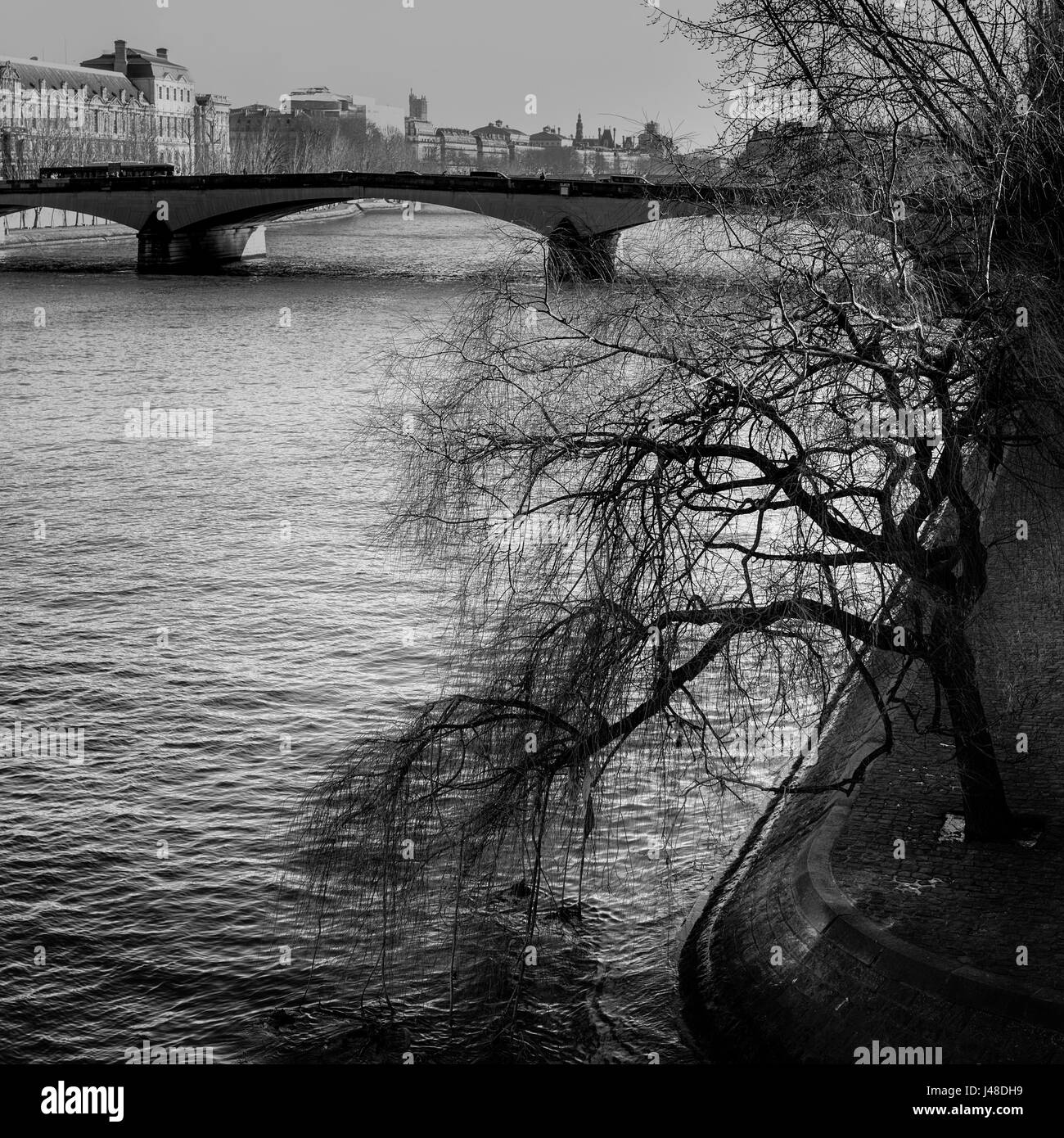 Parisian Black and White Stock Photos & Images - Alamy