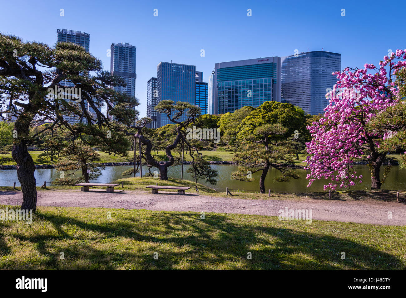 Hamarikyu Gardens in Tokyo Stock Photo - Alamy