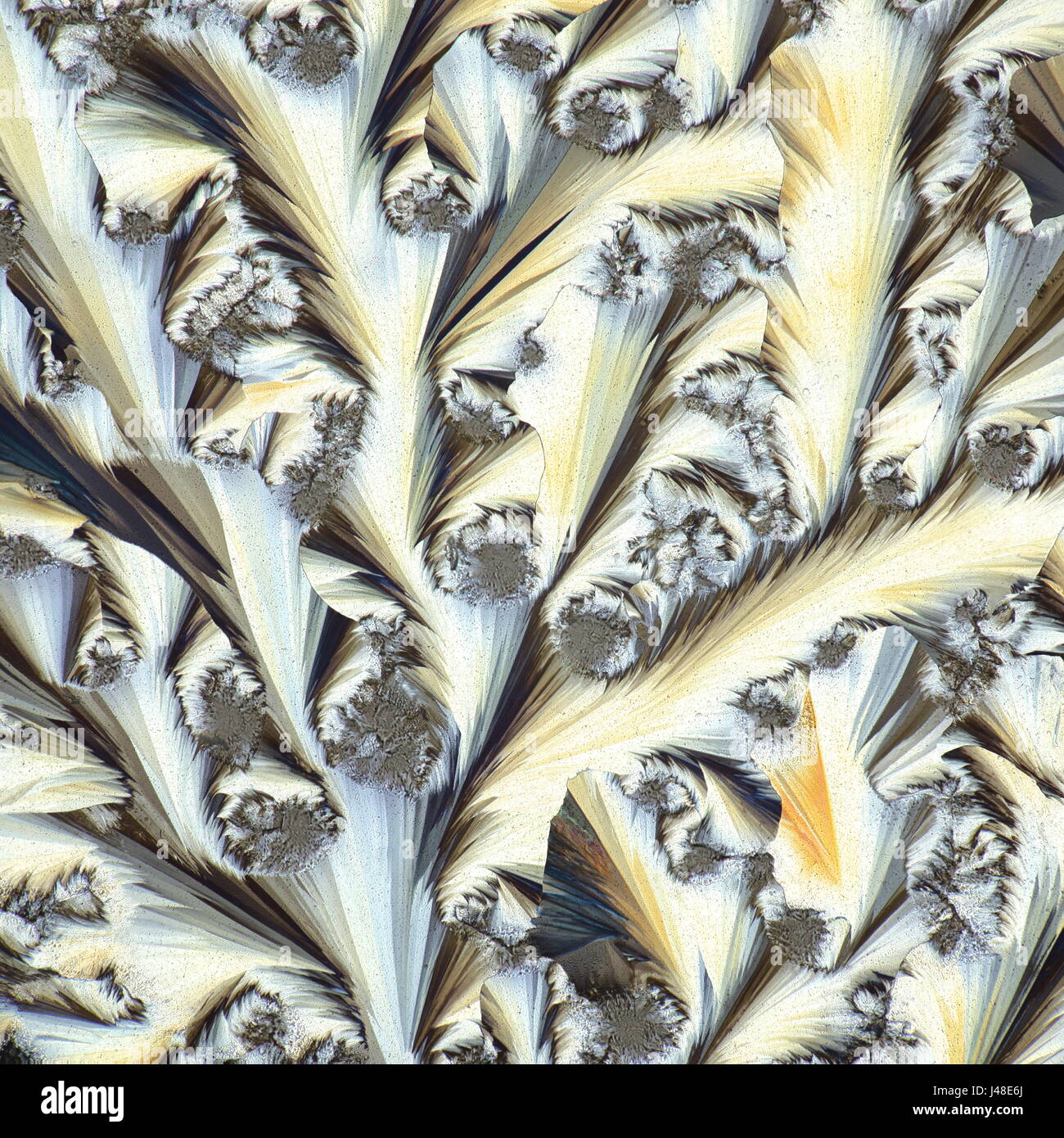 Polarization waves hi-res stock photography and images - Alamy