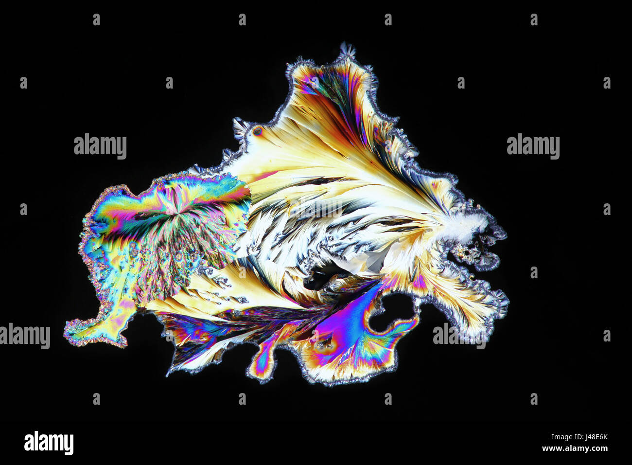 Crystals of a common painkiller Paracetamol (Panadol/Panacod ...