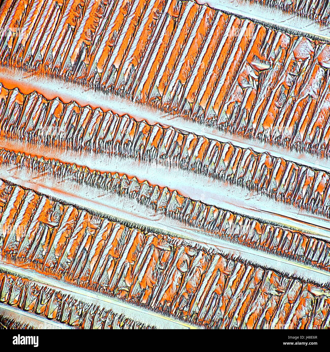 Crystals of a common painkiller Paracetamol (Panadol/Panacod ...