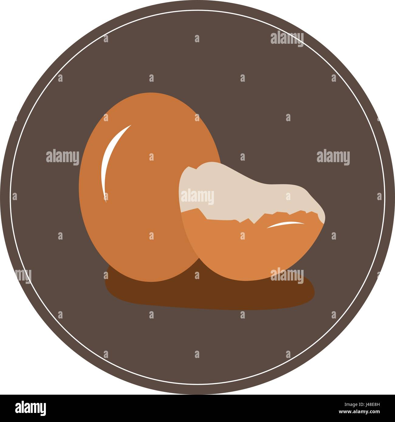 Quality Egg Stock Vector Images Alamy