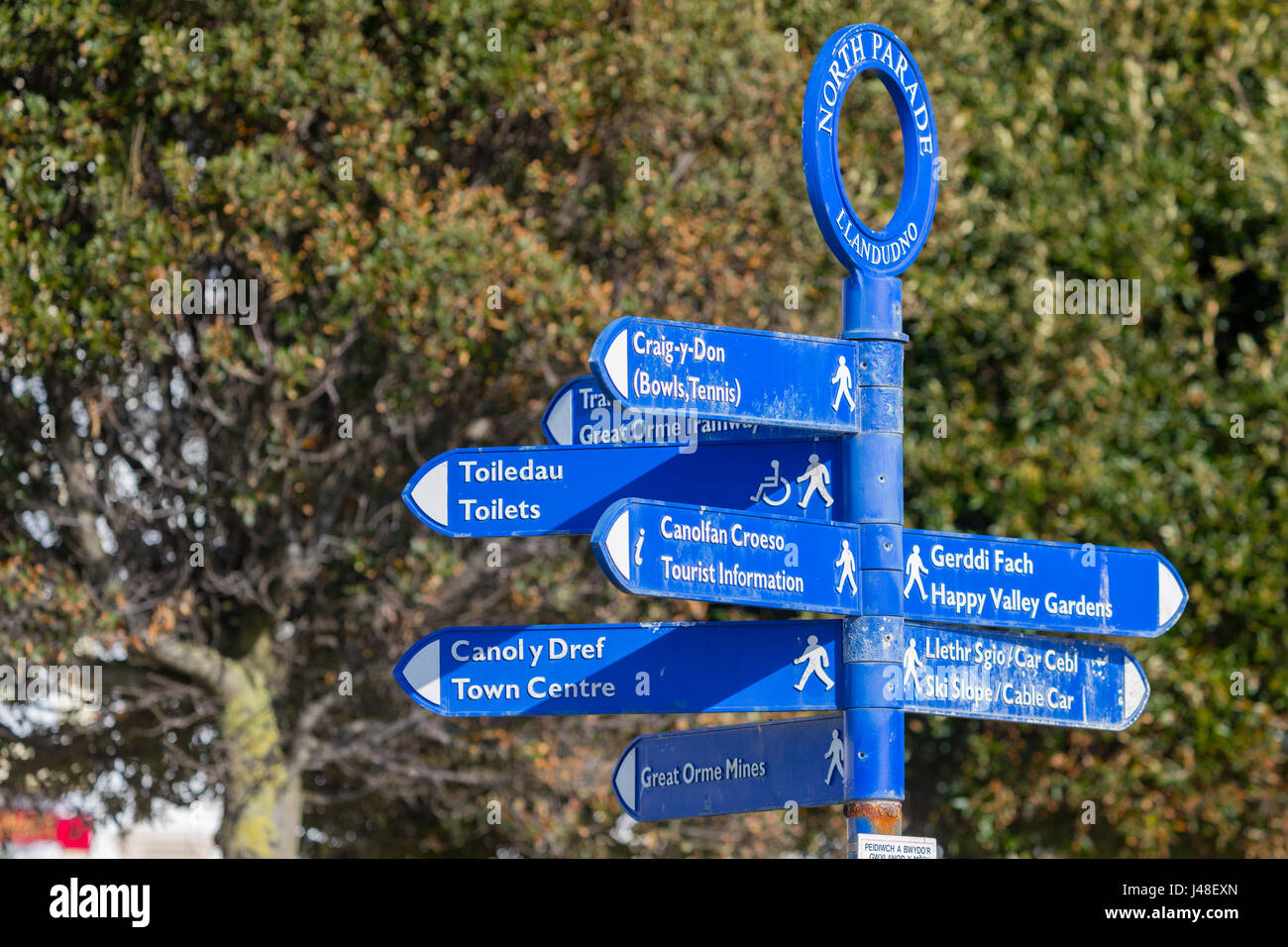 Tourist informaton sign in blue on the seaside promenade of Llandudno ...