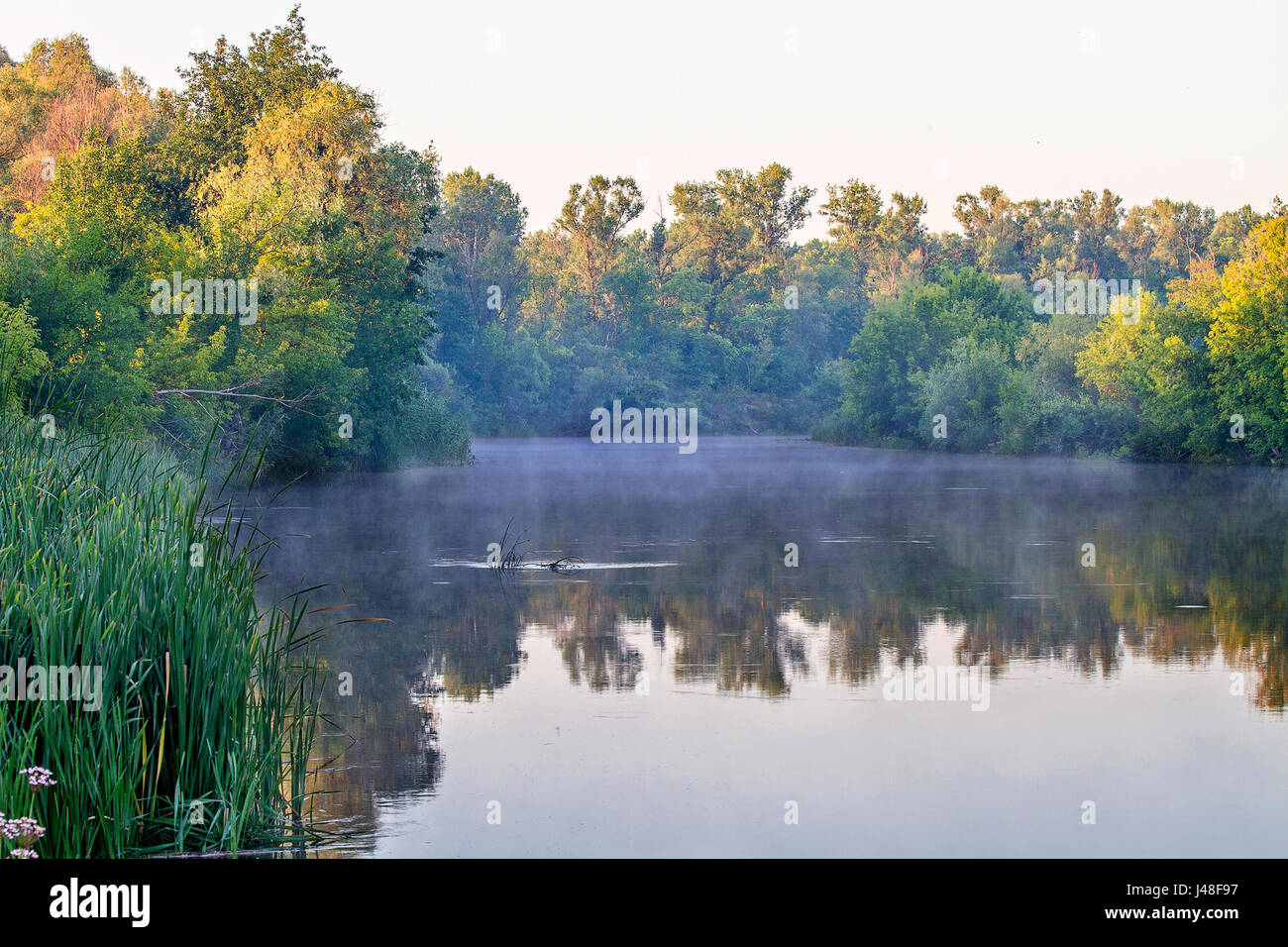 a landscape river water surface with reflection shores Stock Photo - Alamy